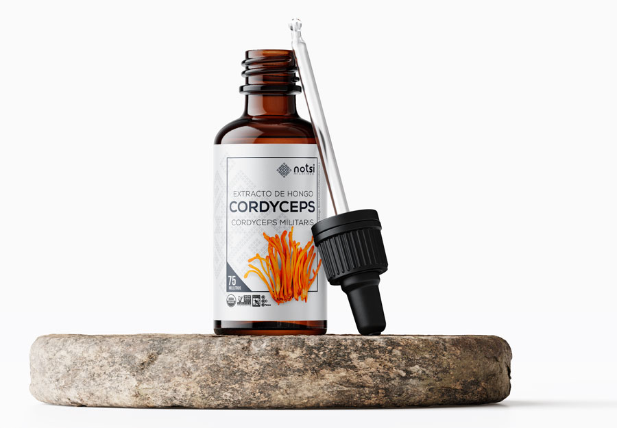 Home - Notsi - Micofinca